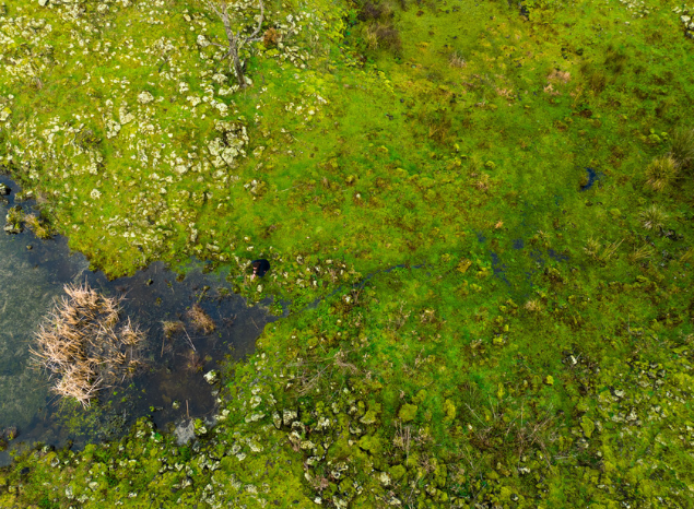 IPA IN FOCUS: Budj Bim Indigenous Protected Area - Country Needs People