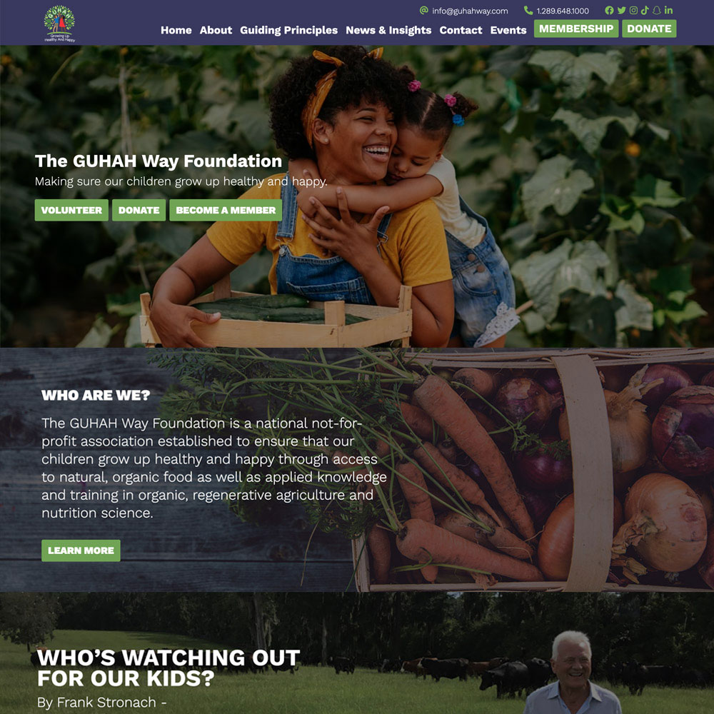 Marc Vangrootel - Web Designer & NationBuilder Architect