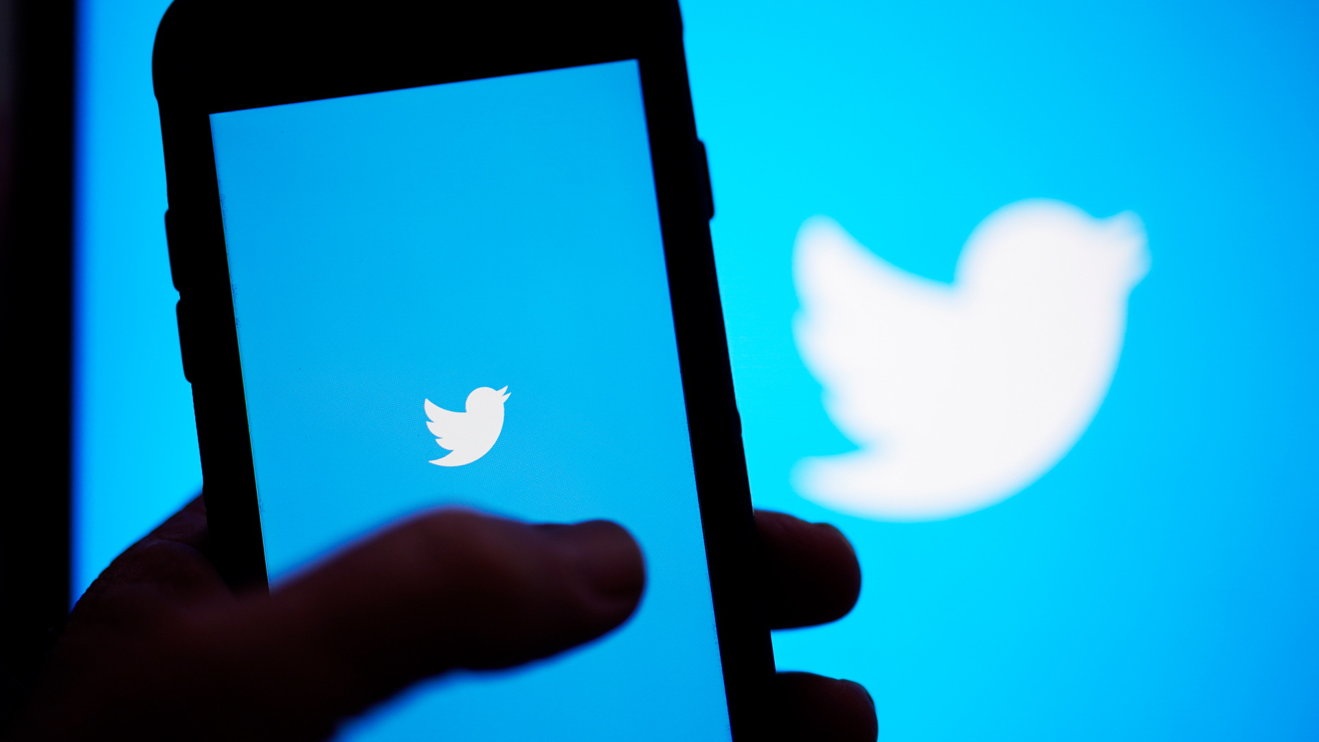 Twitter to purge inactive accounts, warns users that they may lose ...