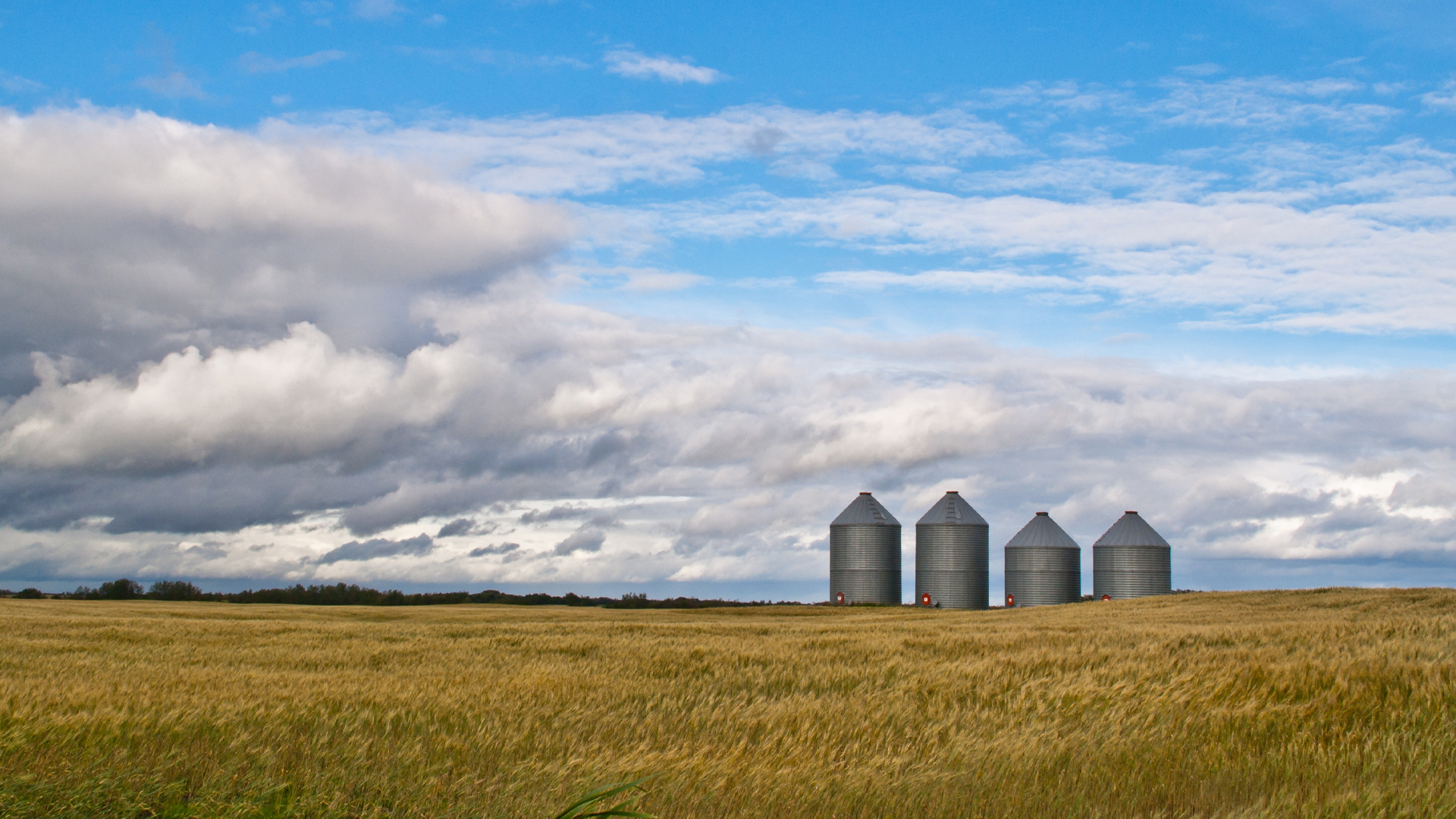 SEEKING: Woke consultant to help the Prairie economy — seriously ...