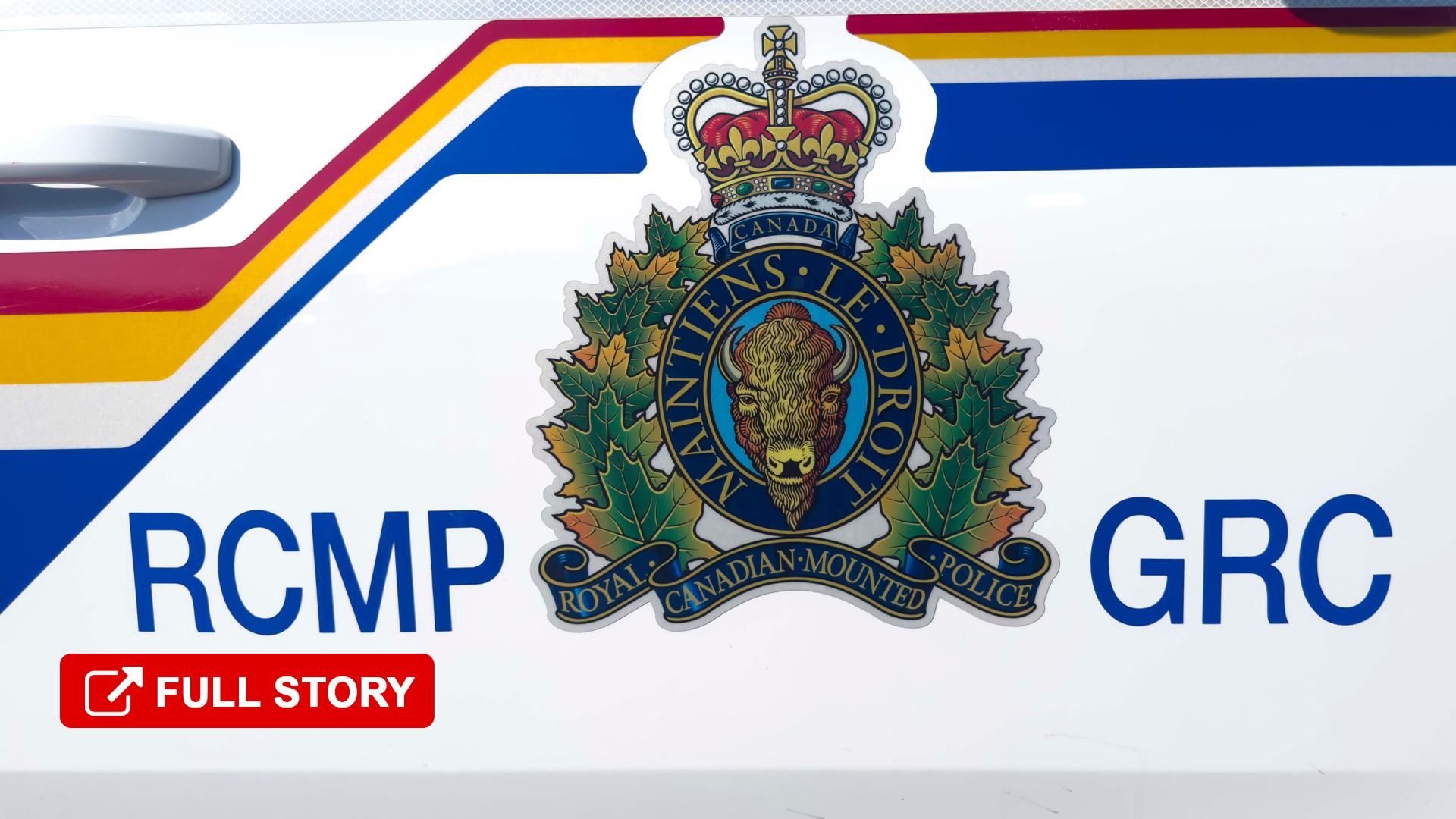 RCMP asks reservists to aid federal gun confiscation efforts: report ...