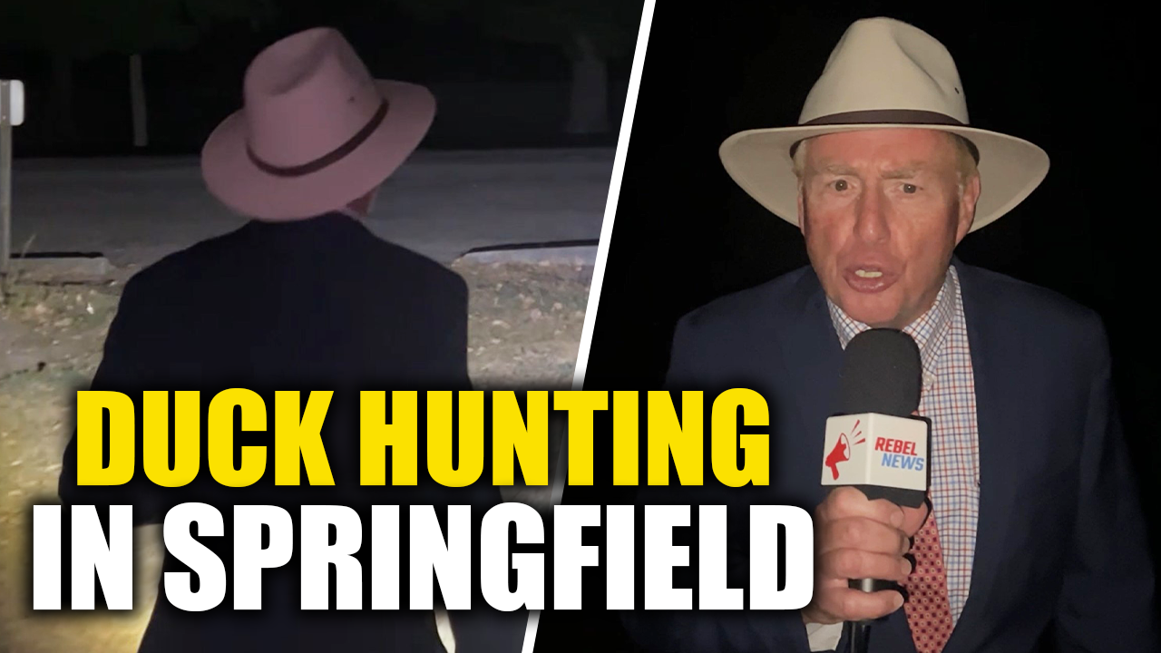 Nighttime in a Springfield, Ohio park: Are the geese and ducks safe ...