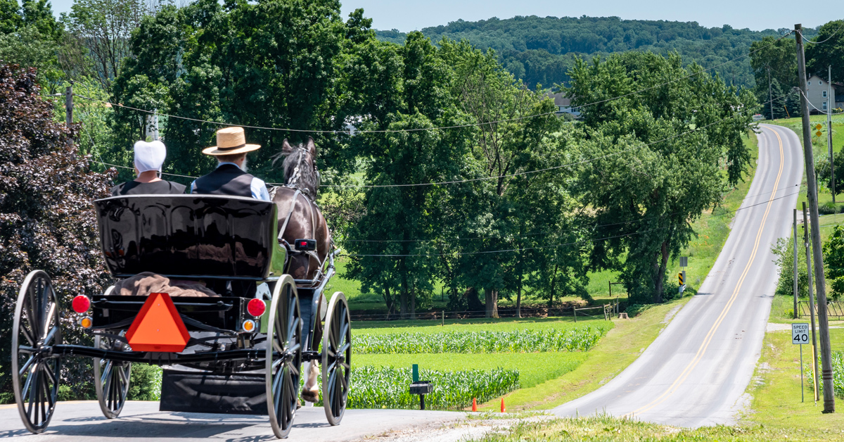 Amish families hit with ArriveCan fines get help restoring credit from ...