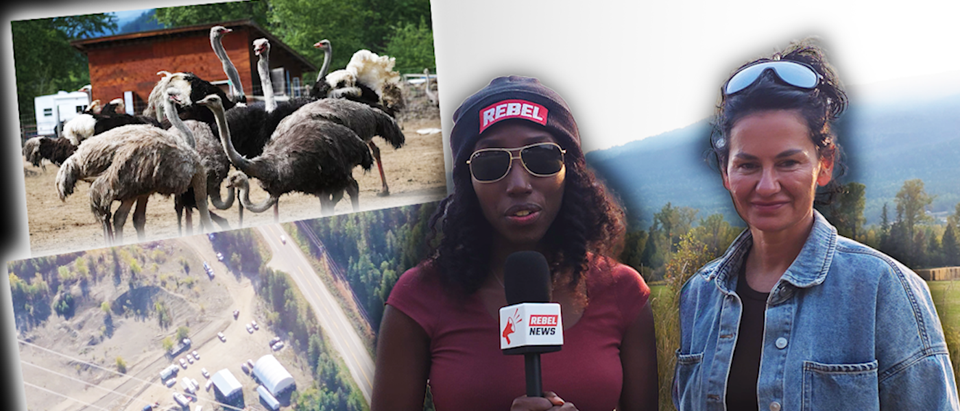 Helicopter footage shows massive government operation at Universal ...