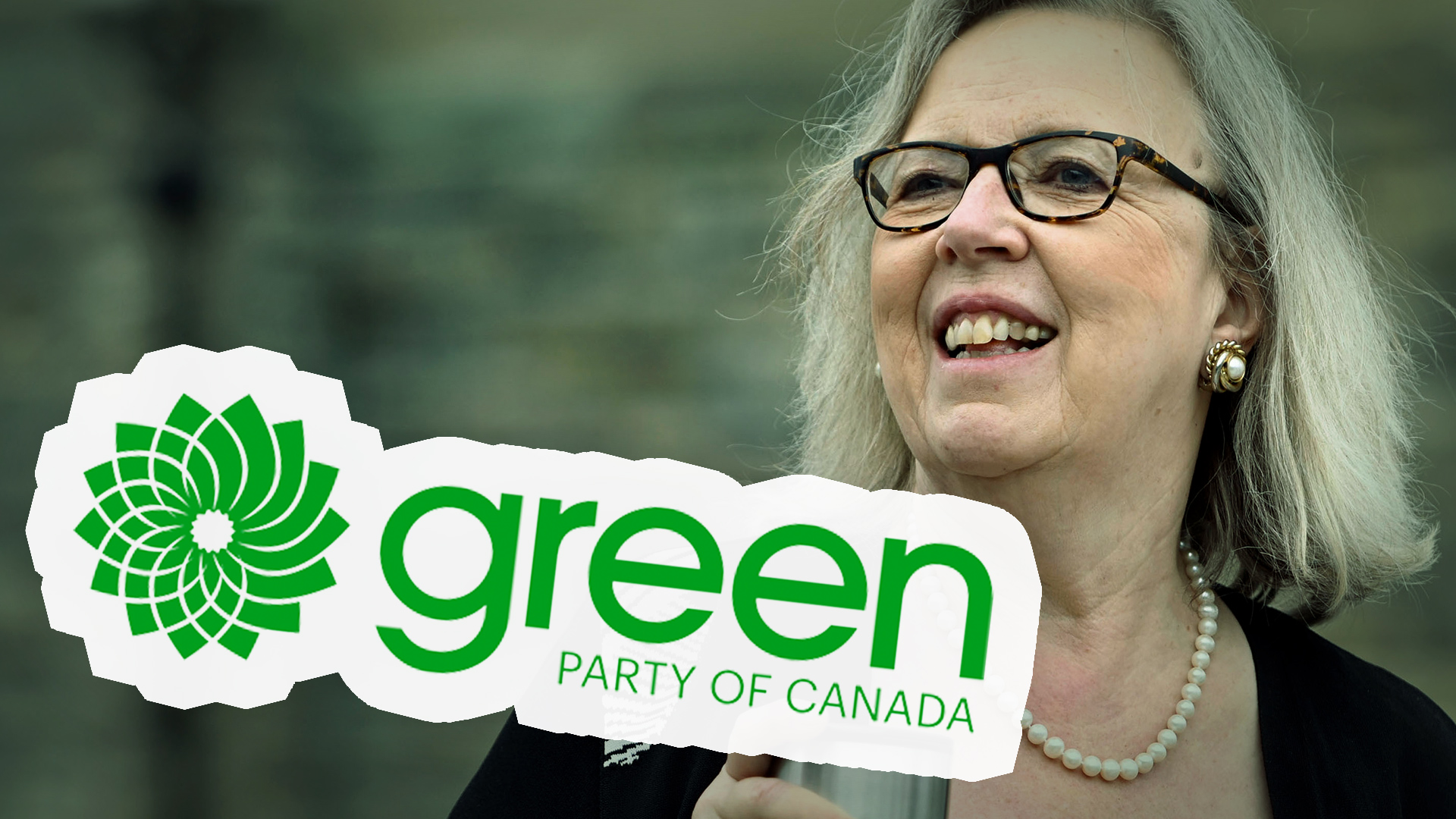 Elizabeth May is running to be re-elected as the Green Party’s next ...