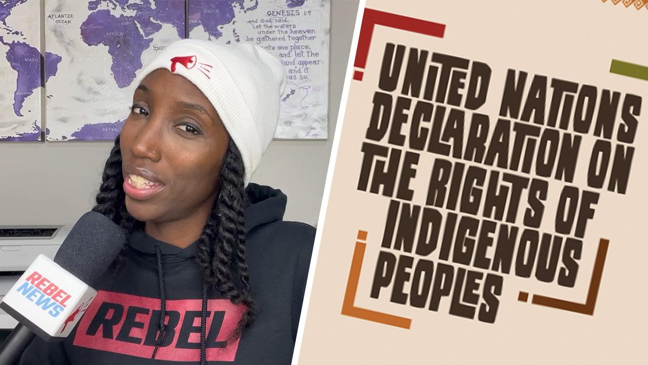 Could B.C.’s implementation of UNDRIP mean soon you will own nothing ...