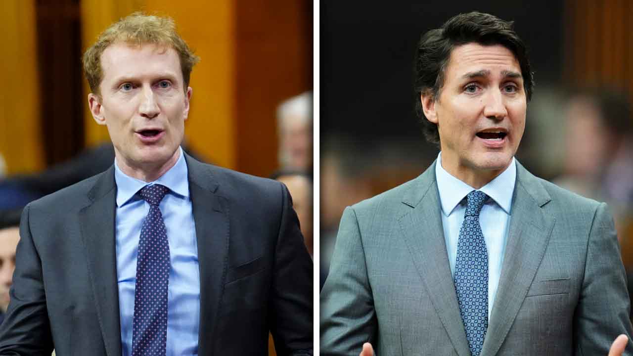 Trudeau Liberals introduce cap on foreign students - Rebel News