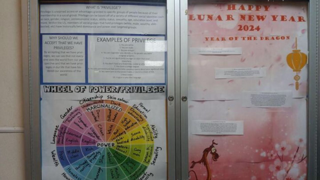 Disneyland hosts 'power/privilege wheel', categorizing traits like ...