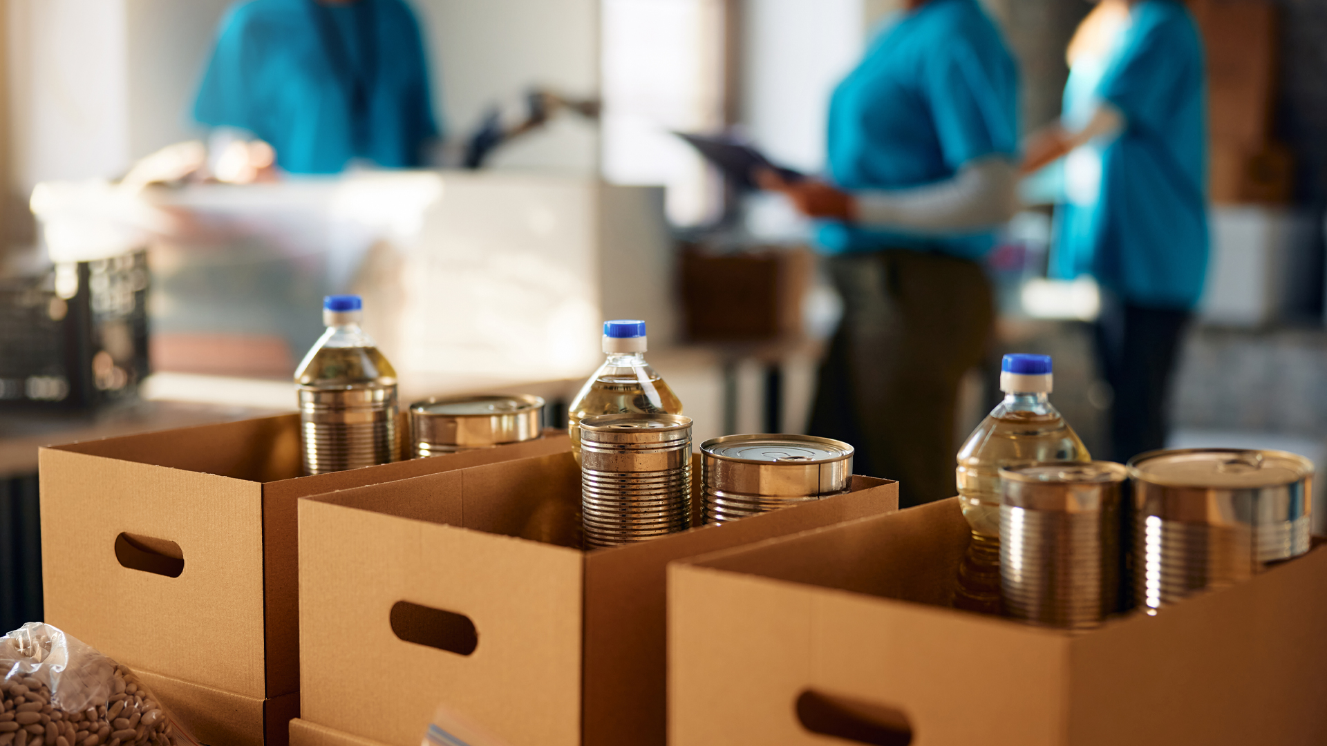 Food Banks Canada survey suggests 25 percent of Canadians living in ...