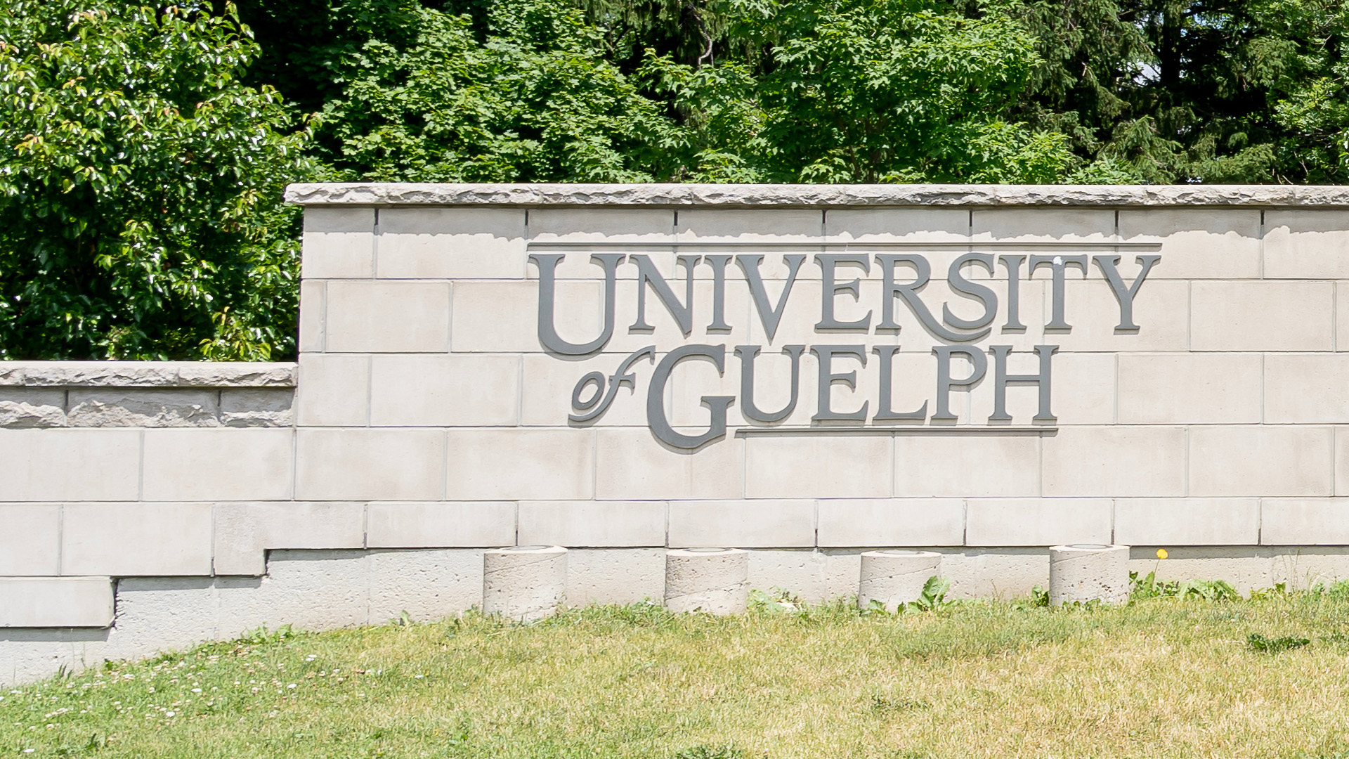 University of Guelph issues trespass notice to anti-Israel encampment ...