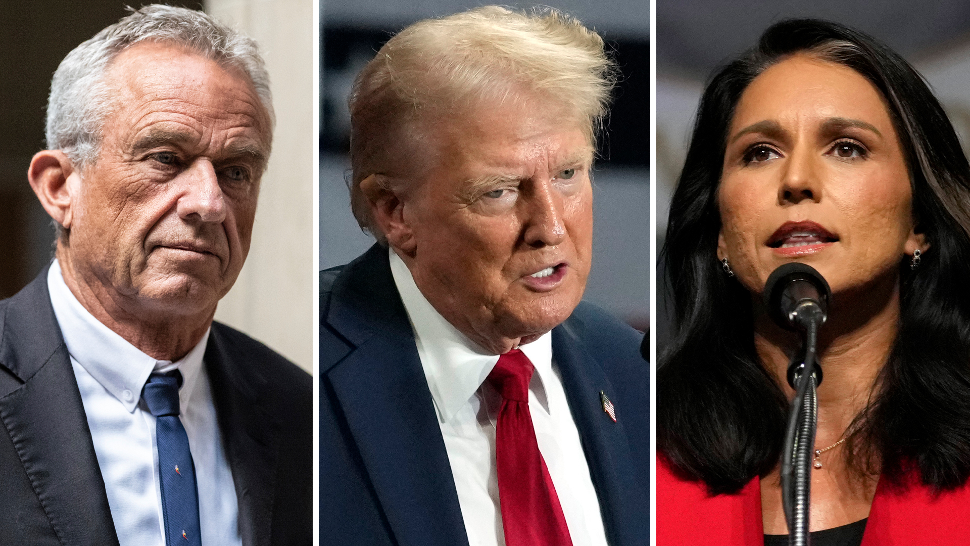 Trump adds Robert F. Kennedy Jr. and Tulsi Gabbard to transition team - Rebel News