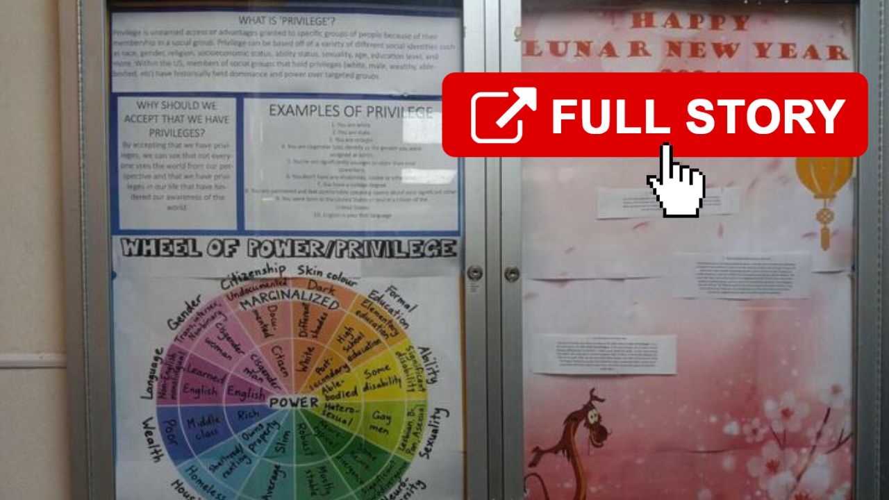 Disneyland hosts 'power/privilege wheel', categorizing traits like ...