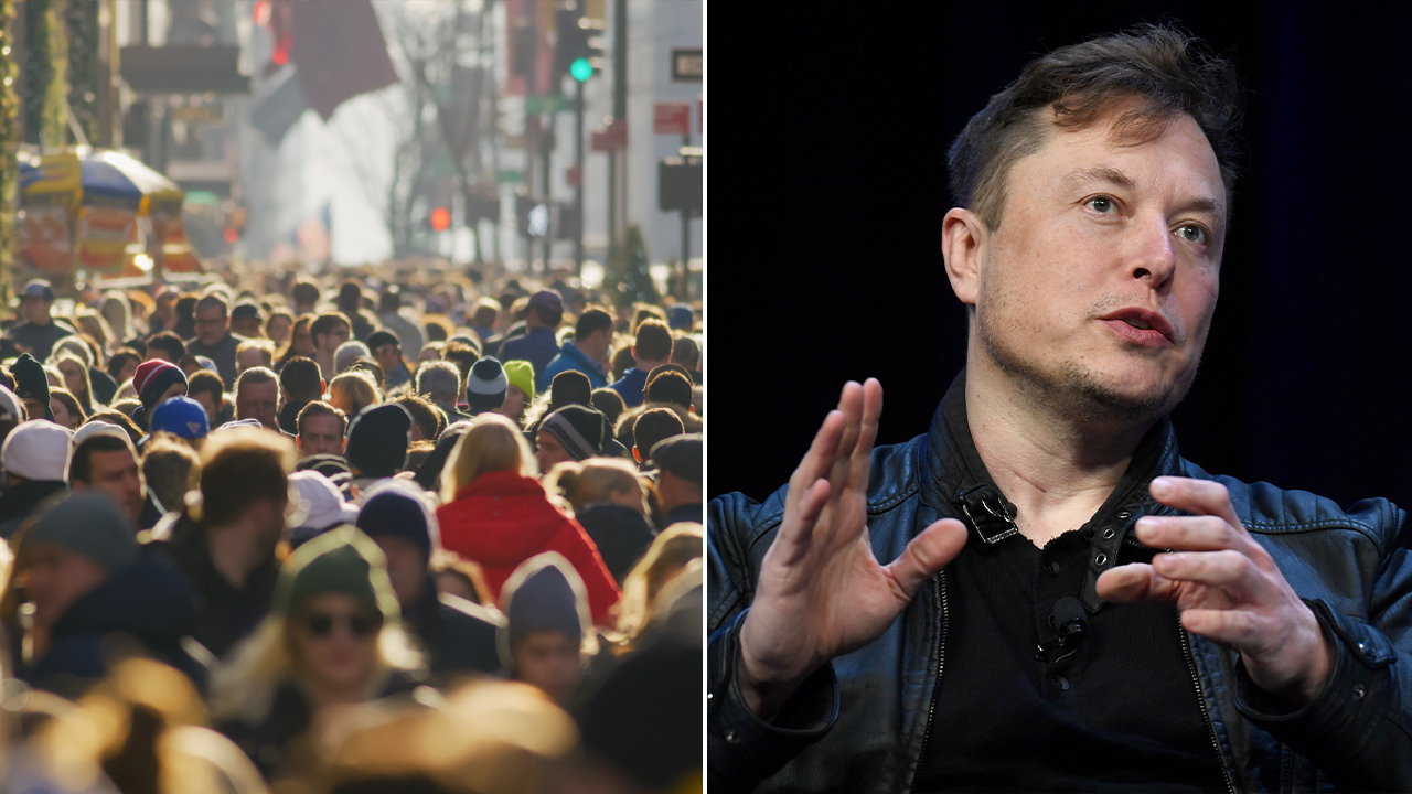 Elon Musk warns declining birth rates could end civilization 'with a ...