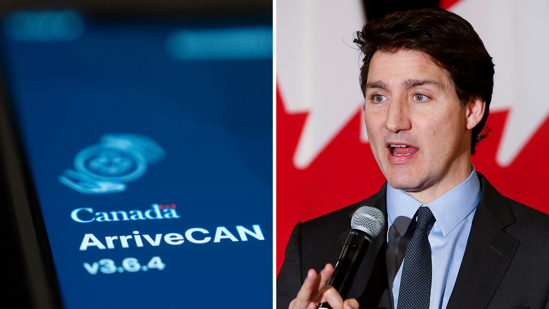 Federal accountants knew of 'ArriveScam irregularities' but were 'too frightened' to speak out ...