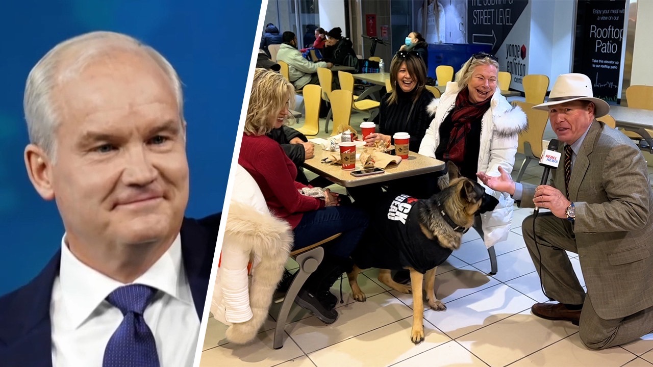 Erin O’Toole’s rant condemning F Trudeau flags has ZERO impact on those ... Erin O’Toole’s rant condemning F Trudeau flags has ZERO impact on those ...
