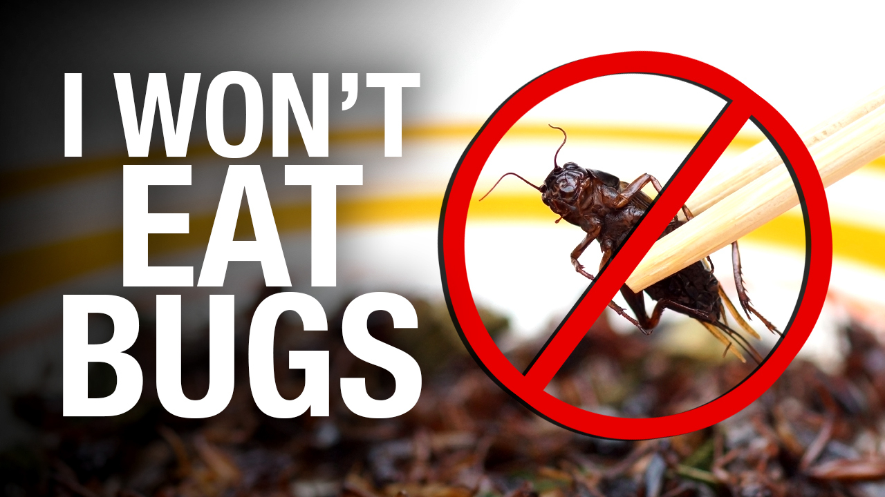 Global elites want you to eat bugs — say no! - Rebel News