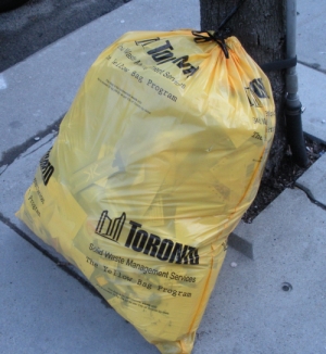 What's your vision of Toronto's waste future? - Toronto Environmental ...