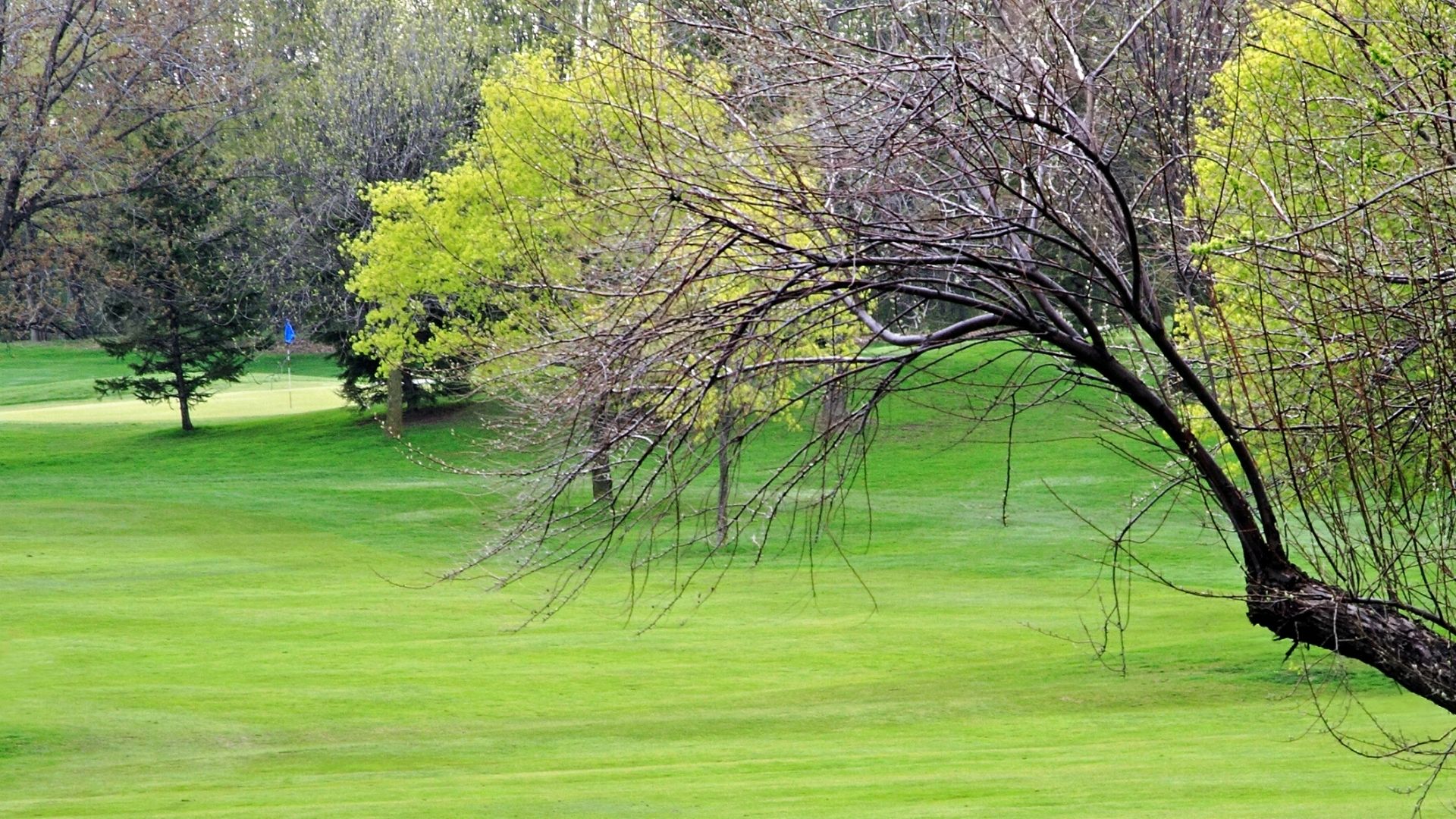 Submission to the Infrastructure and Environment Committee - Review of ...