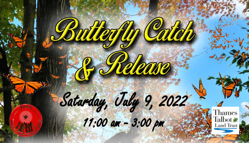 Butterfly Catch and Release - Thames Talbot Land Trust