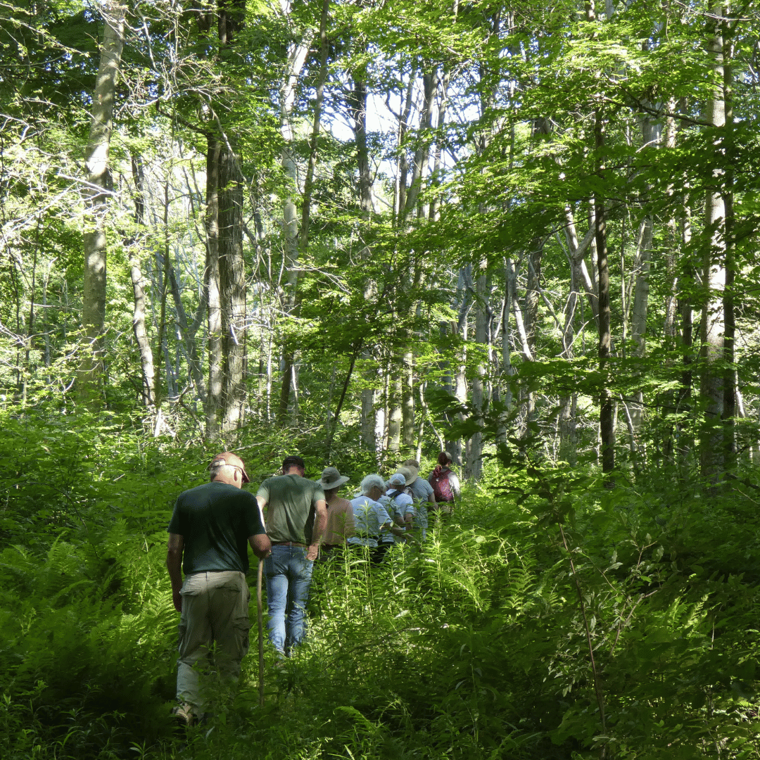 Passport to Nature: Forest Therapy - Thames Talbot Land Trust
