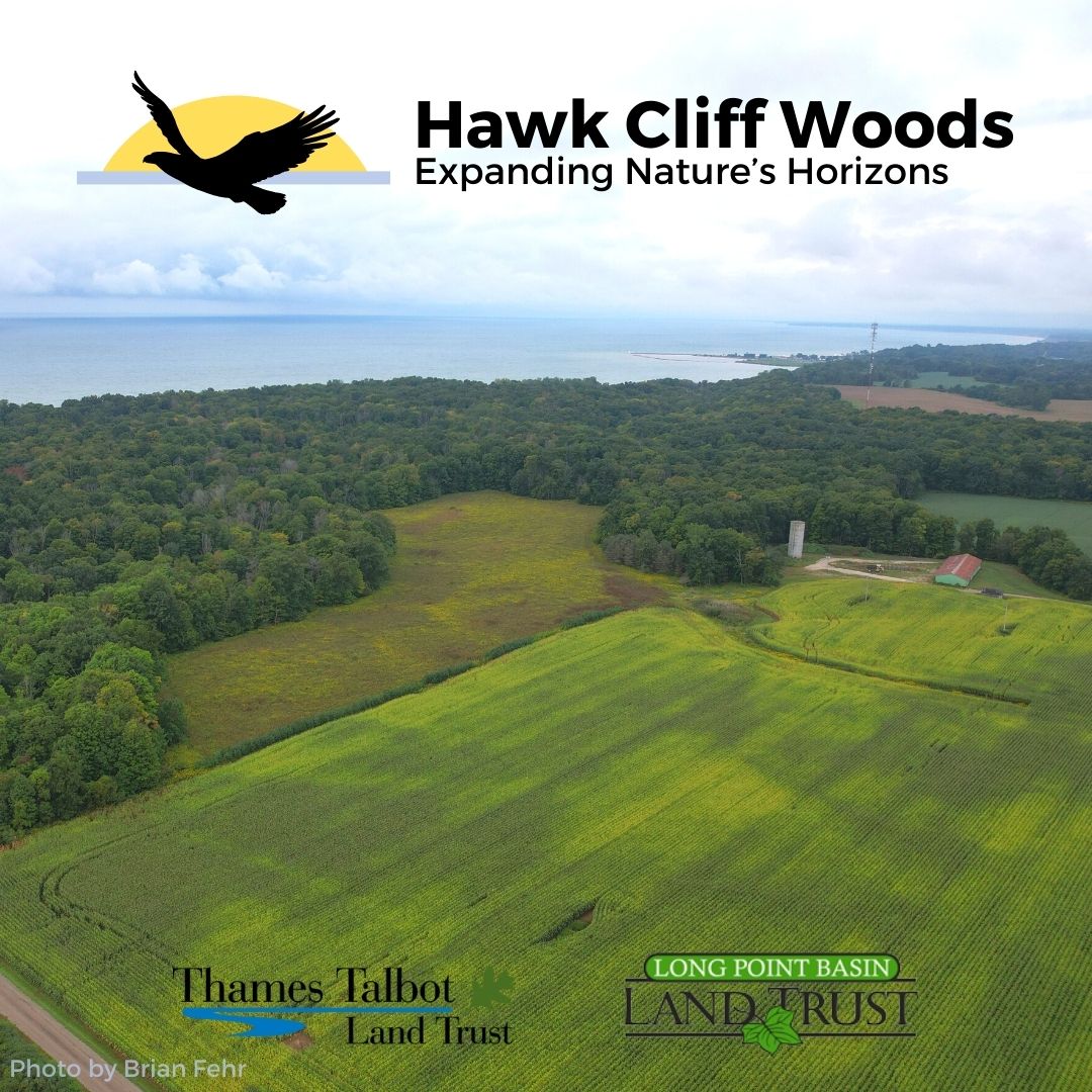 Hawk Cliff Woods: Expanding Nature's Horizons - Thames Talbot Land Trust