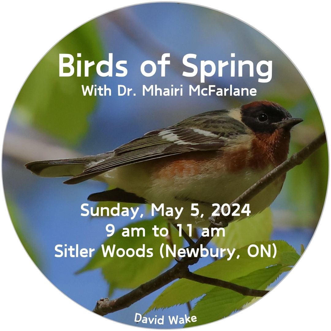 Passport to Nature: Birds of Spring - Thames Talbot Land Trust