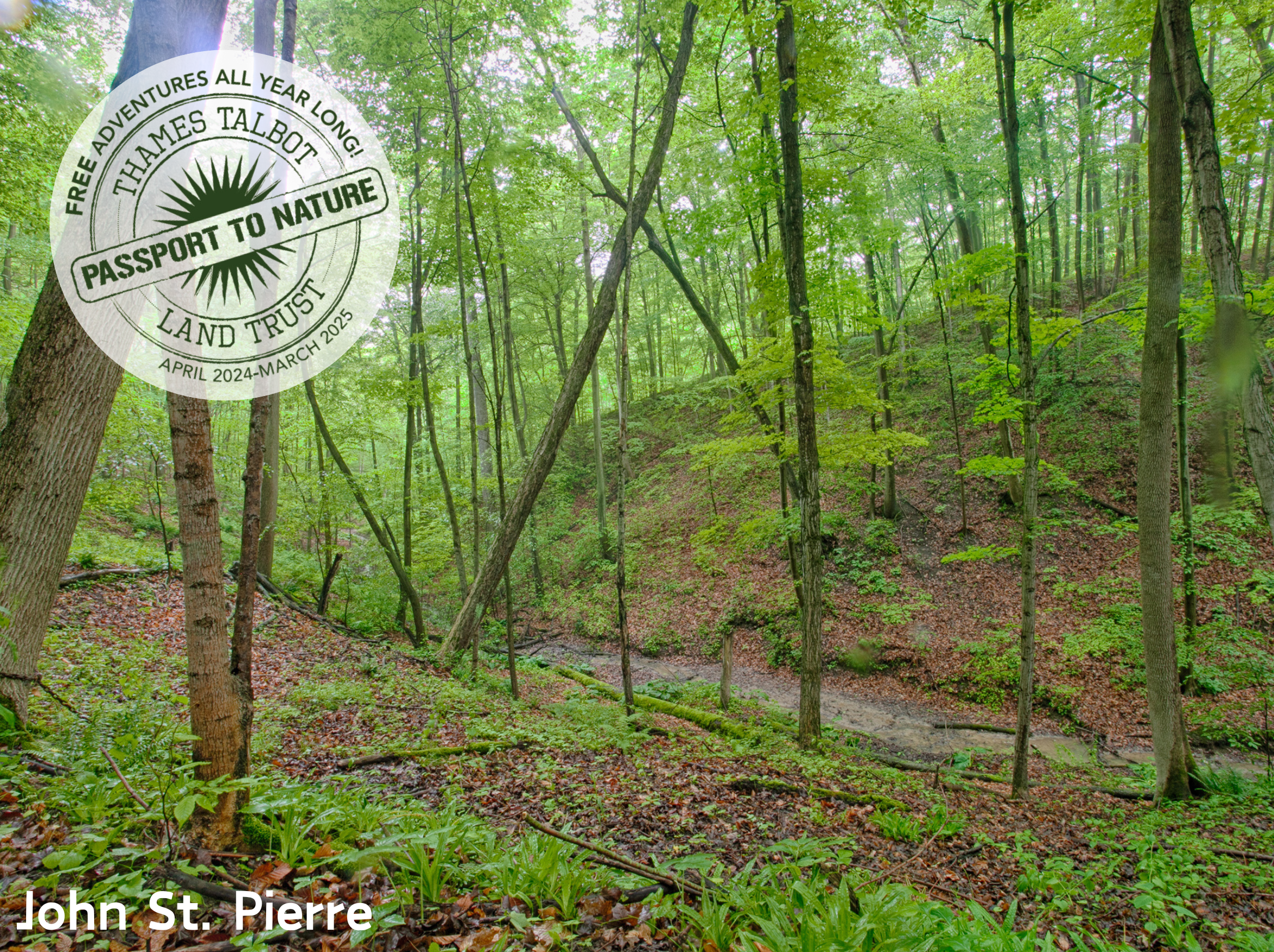 Passport to Nature: Forest Therapy Walk - Thames Talbot Land Trust