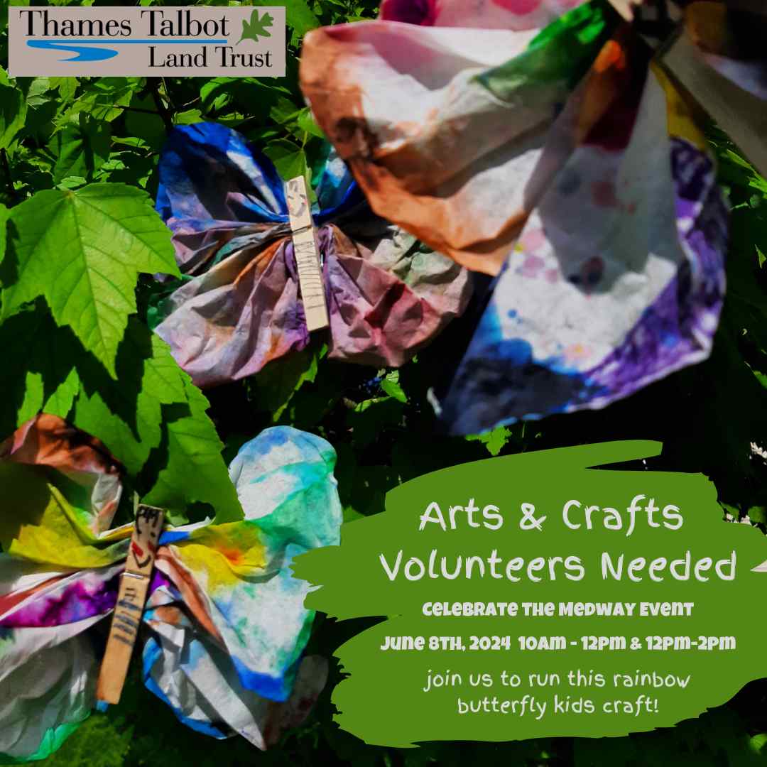 Volunteer Opportunity: Arts & Crafts Support - Thames Talbot Land Trust