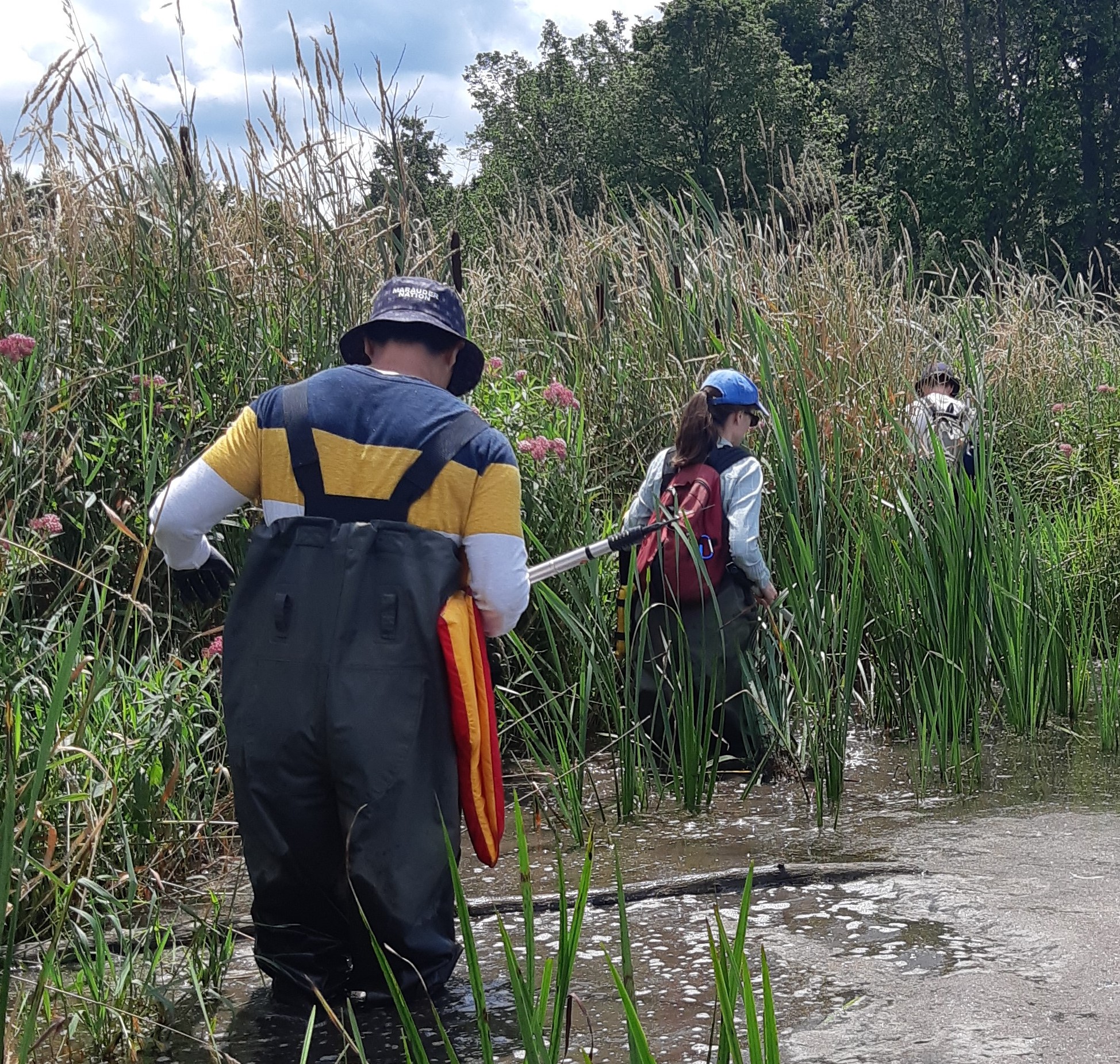 Volunteer Training: Outdoor Safety 101 - Thames Talbot Land Trust