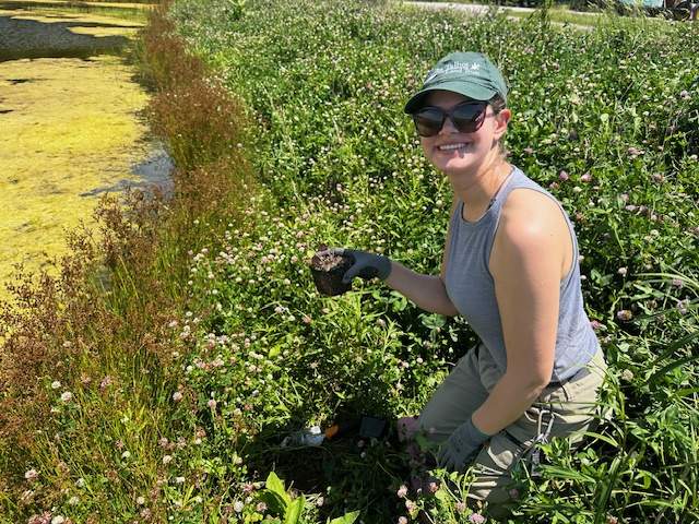 Volunteer Opportunity: Blain Farm Seeding and Planting - Thames Talbot ...