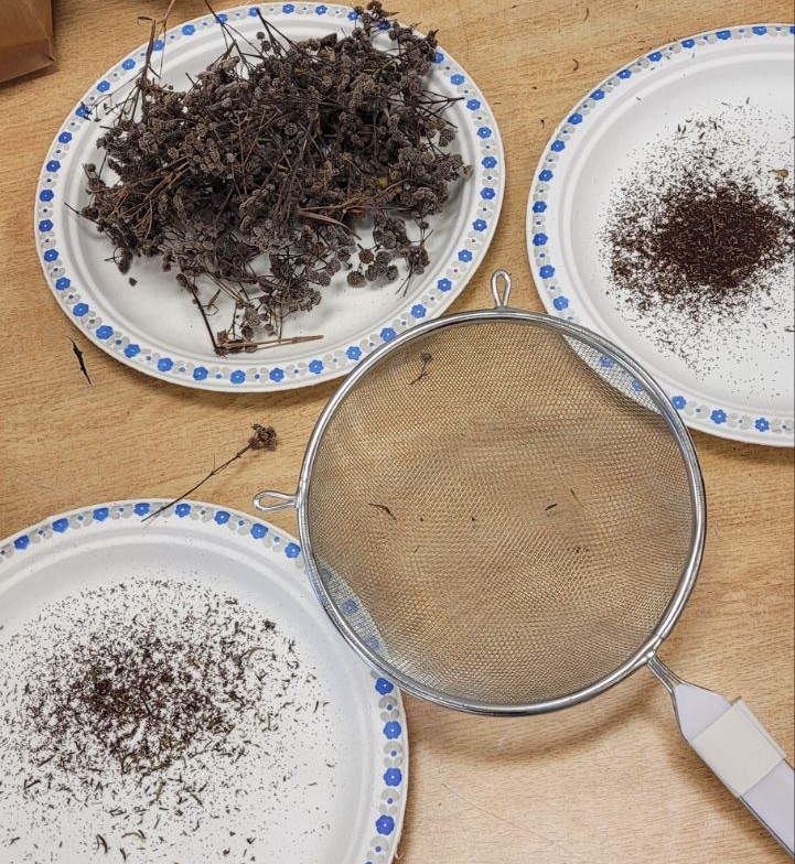 Volunteer Opportunity: Seed Processing Workshop - Thames Talbot Land Trust