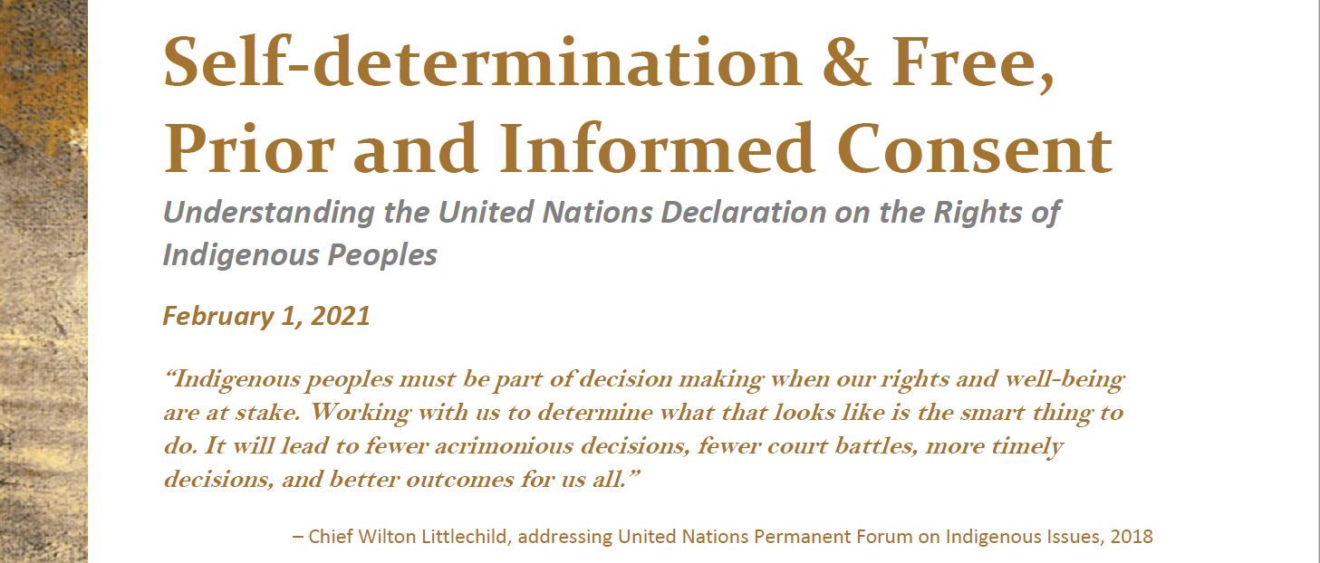 right to self determination un