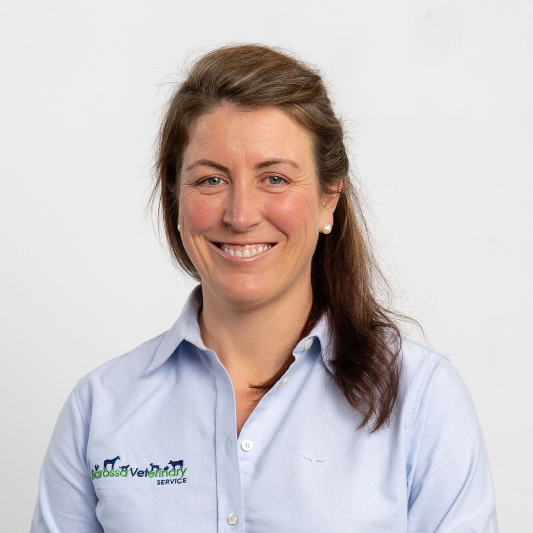 Our People - Vets for Climate Action