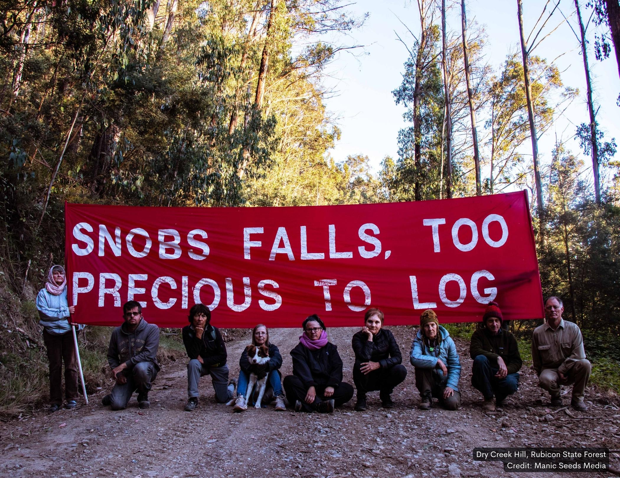 Victorian Forest Alliance