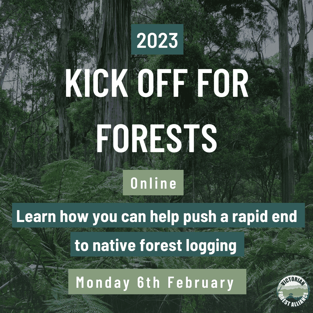 2023 VFA Kick off for forests - Victorian Forest Alliance