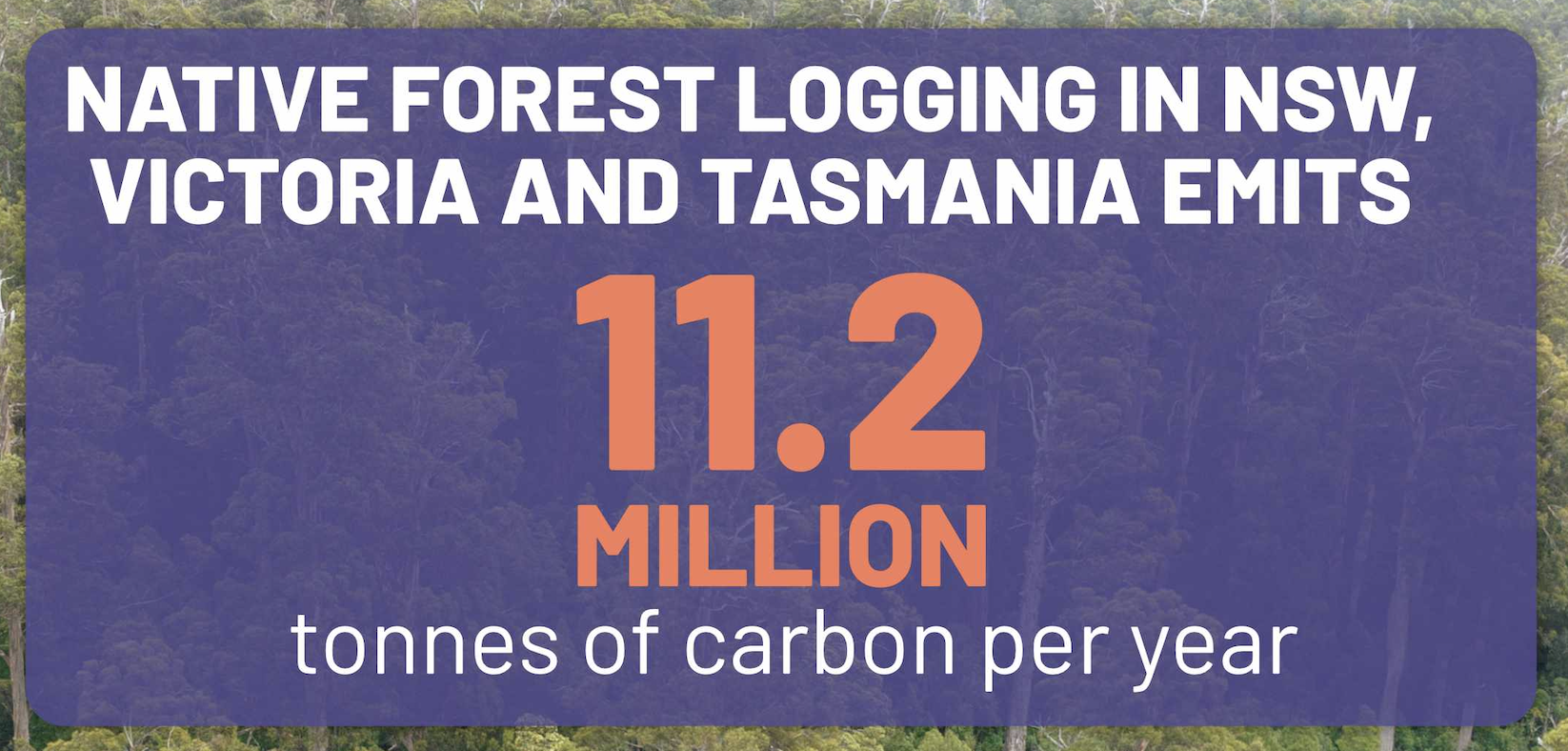 MEDIA RELEASE: Emissions from native forest logging in south-eastern ...