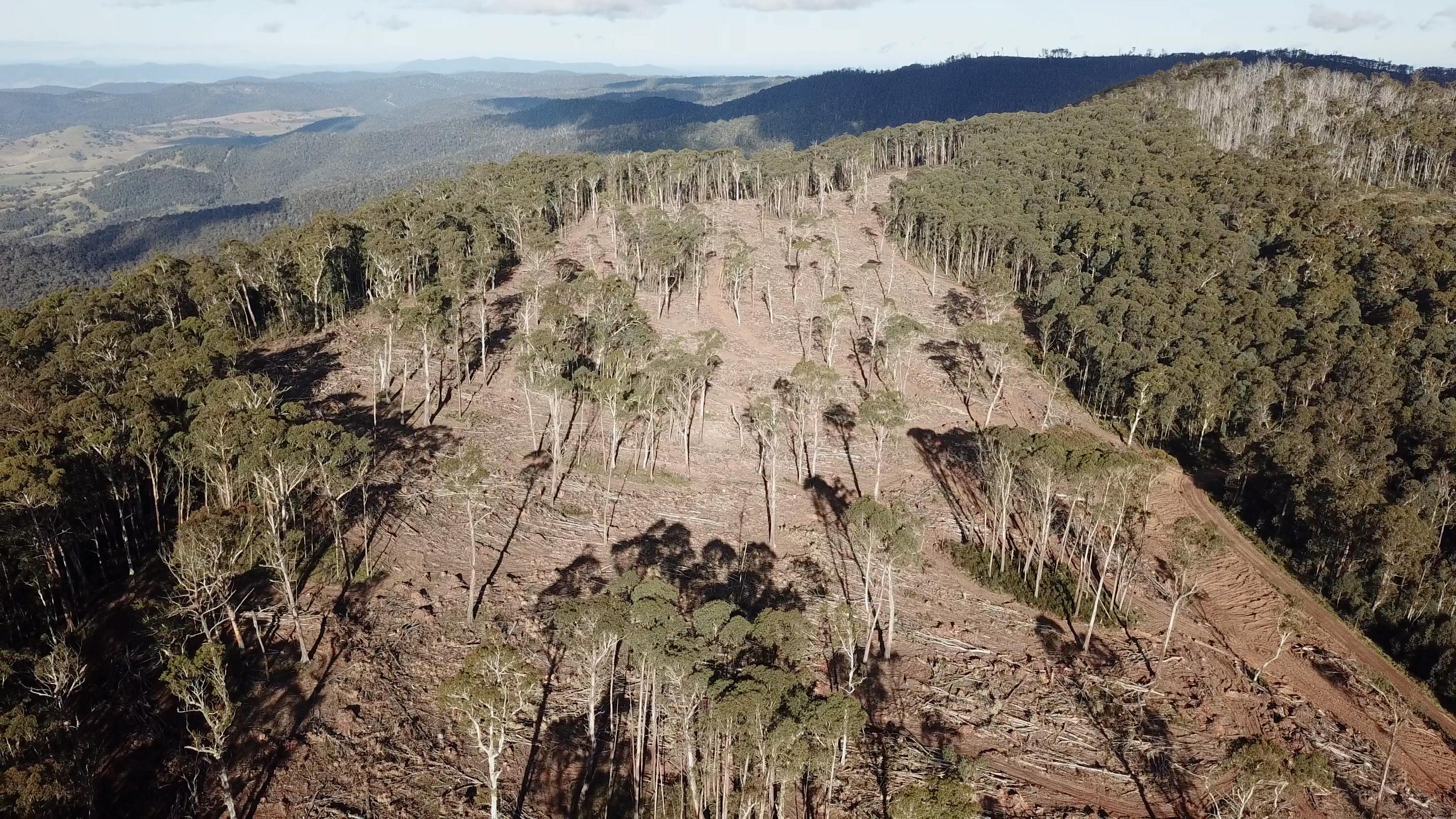MEDIA STATEMENT: Closure of white paper production at the Maryvale mill ...