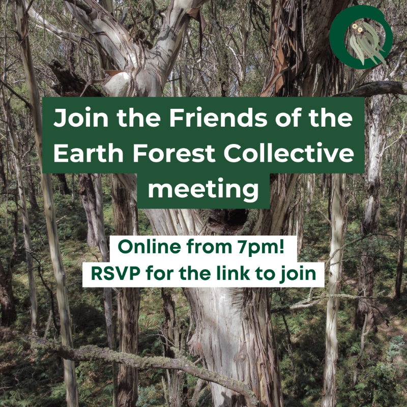 FoE Forests Collective Meeting - Victorian Forest Alliance