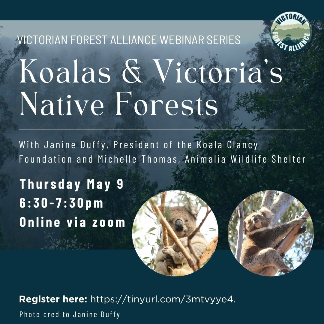 Recording of Koalas & Victoria's Native Forests - Victorian Forest Alliance