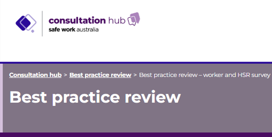 BEST PRACTICE REVIEW – WORKER AND HSR SURVEY - OHS Reps