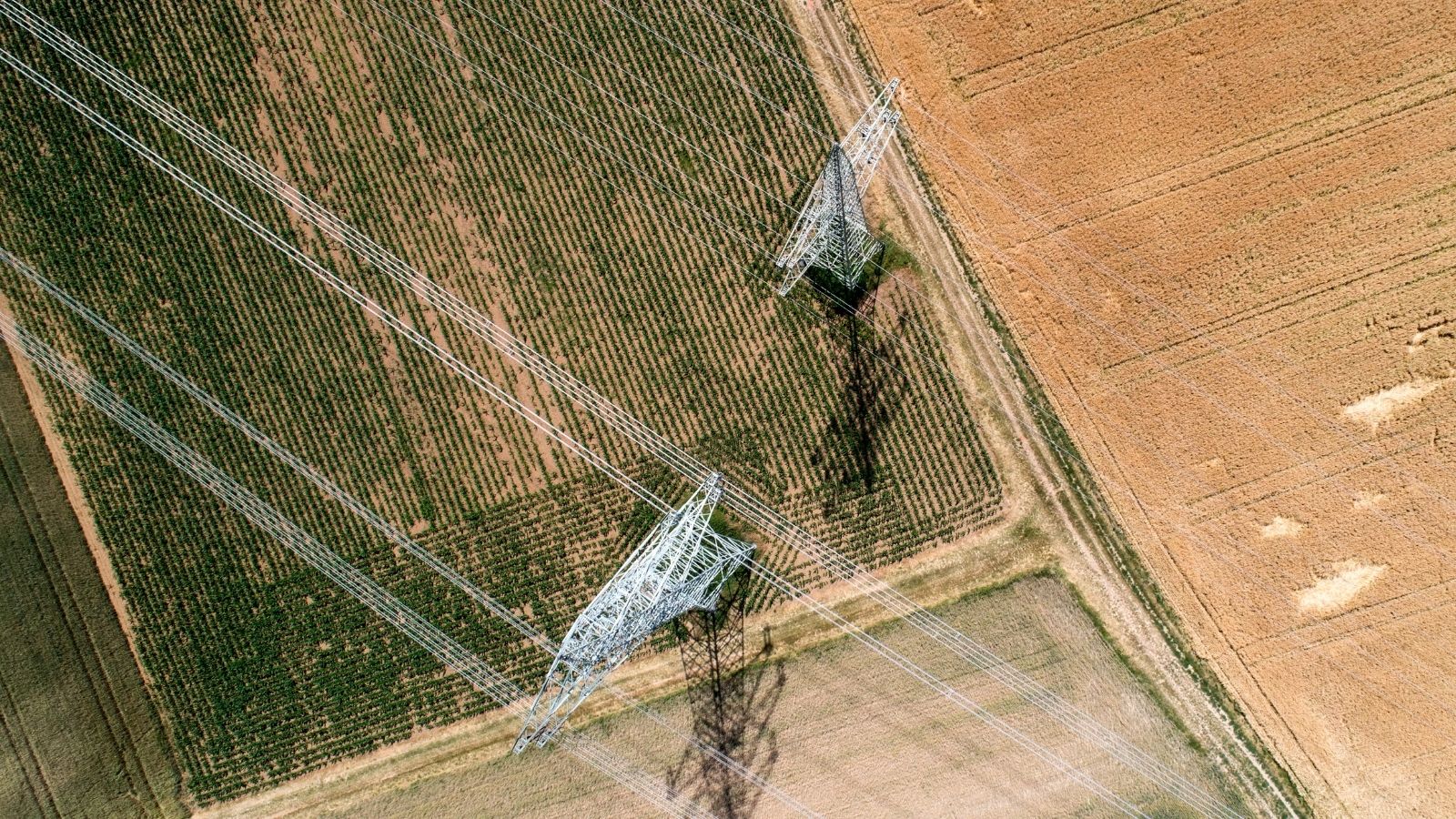 No Transition without Transmission - RE-Alliance