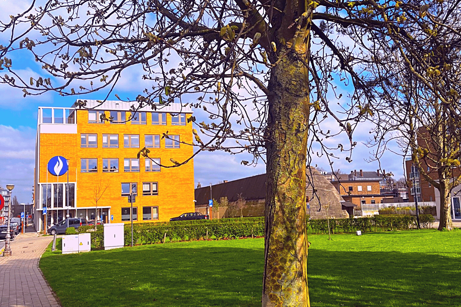 Oostende. Vooruit met Oostende: over de toekomstprojecten