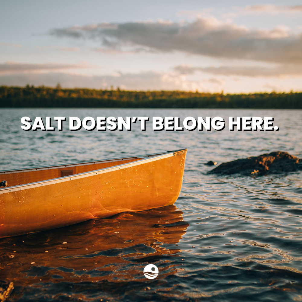 Fighting Salt Pollution: Municipal Toolkit Launch - Water Watchers