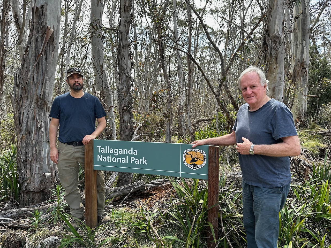 An early Christmas gift for greater gliders - Wilderness Australia