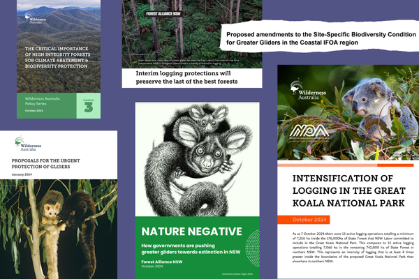 2025 could be one of the most significant years for nature in NSW ...