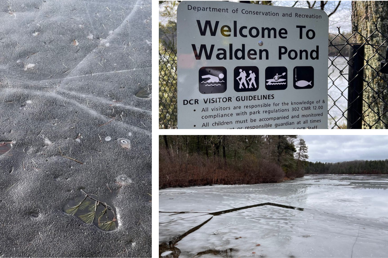On seeing Walden Pond - Wilderness Australia