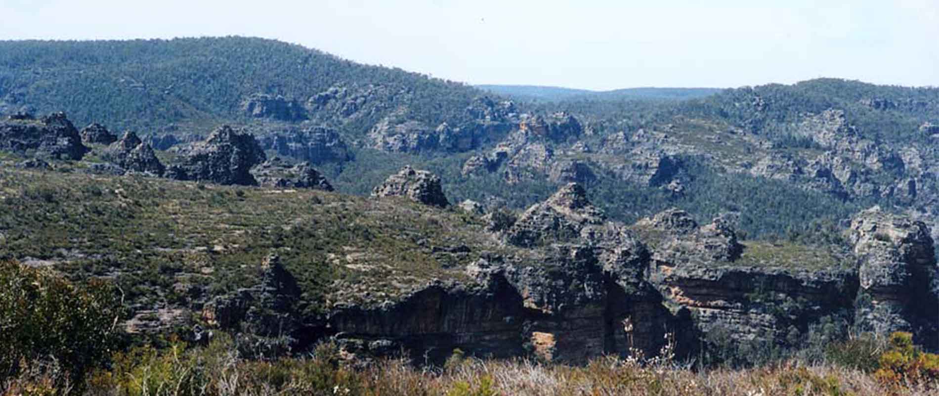 Our history - Wilderness Australia