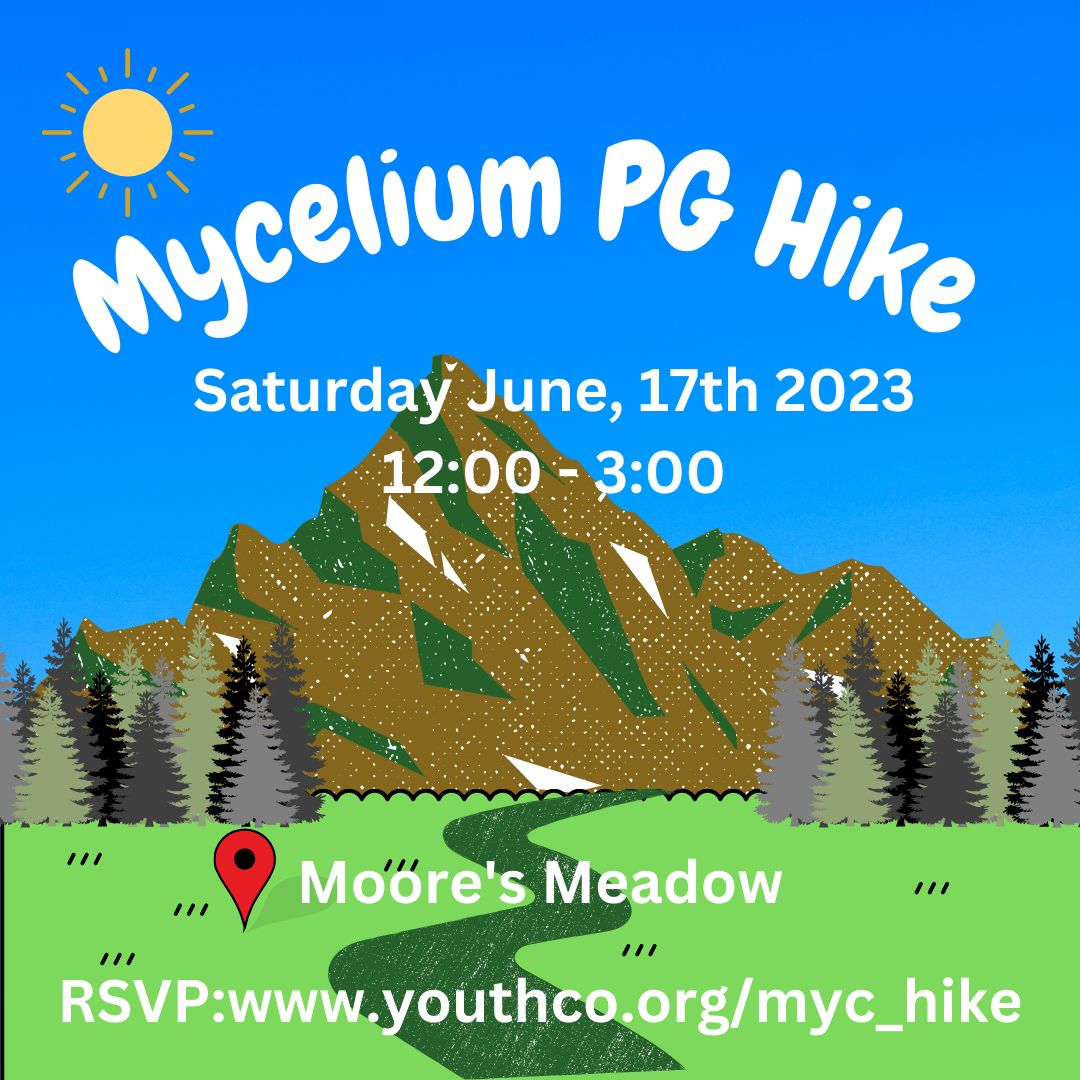 Mycelium PG Hike - YouthCO